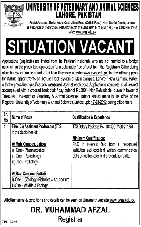 University of Veterinary & Animal Sciences Lahore Jobs University of Veterinary & Animal Sciences Lahore Jobs