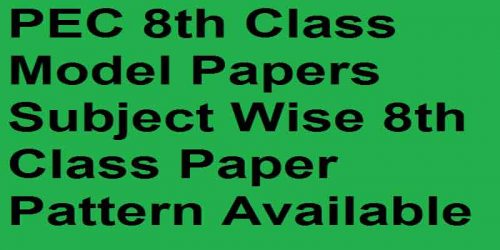 Punjab 8th Class Model Paper 2024 Download Pattern PEC